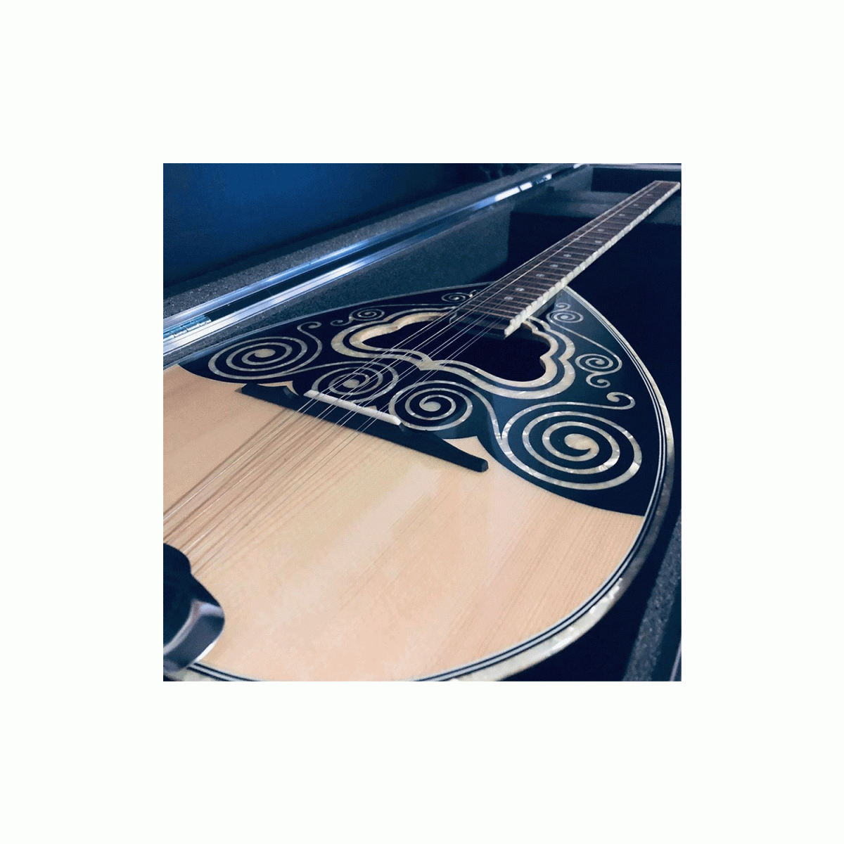 KOFER ZA BUZUKI - Cisumpro